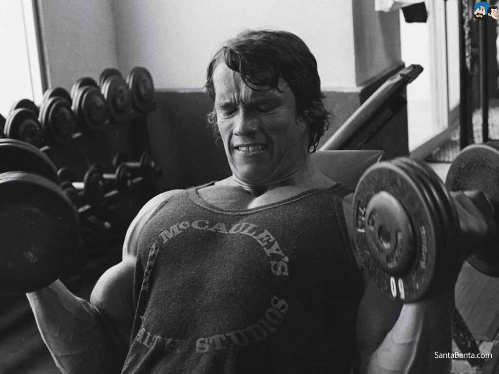 Arnold Schwarzenegger | ΓΙΩΡΓΟΣ ΤΟΥΛΙΑΤΟΣ. Η Σωματοδόμηση με το βλέμμα ...