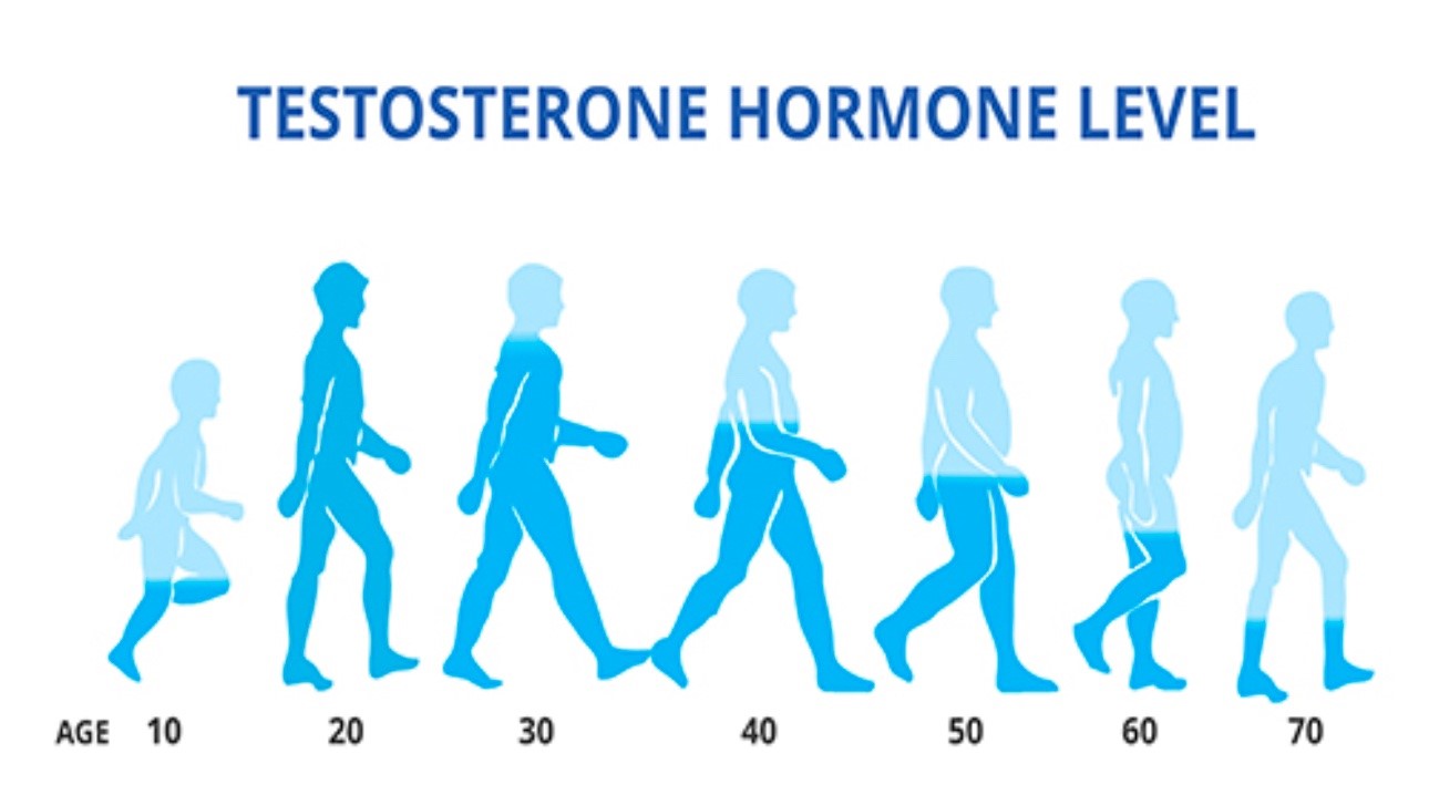 TESTOSTERONE’S LEVEL DECREASE | ΓΙΩΡΓΟΣ ΤΟΥΛΙΑΤΟΣ. Η Σωματοδόμηση με το ...